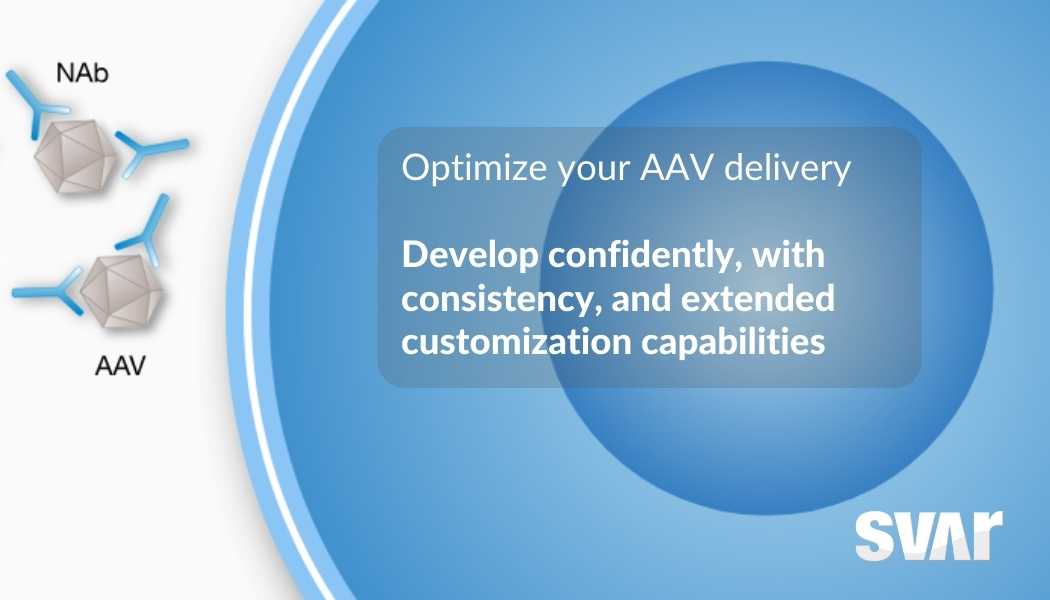 Optimizing AAV Gene Therapy: Overcoming Immune Barriers for Enhanced Safety and Efficacy